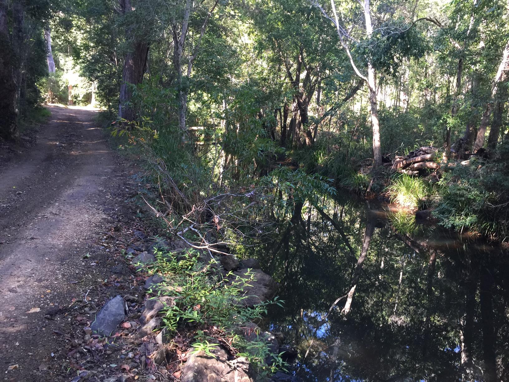 Mapleton National Park: Gheerulla Full Loop Hike - Adventure Sunshine Coast